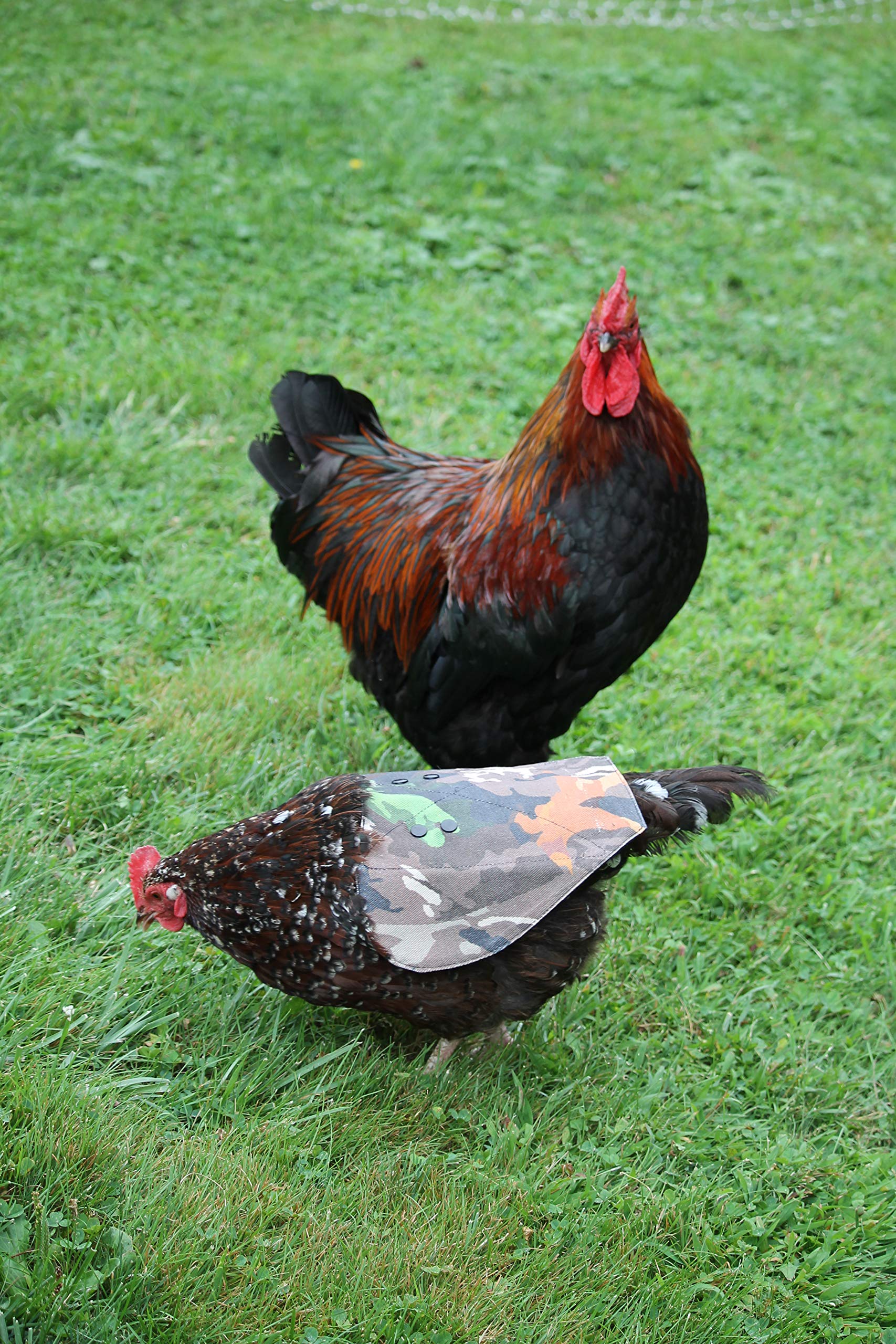 The Chicken Chick® Hen Mating Saddle Standard…