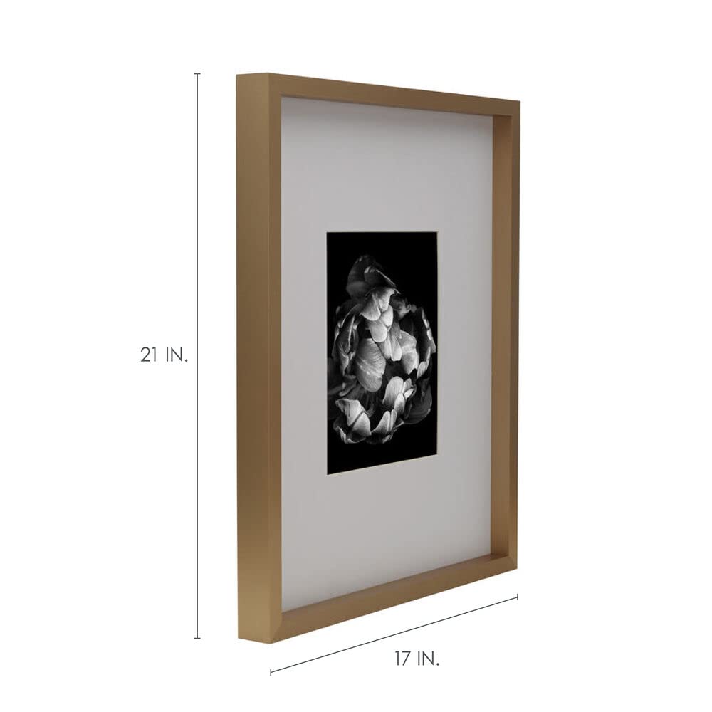 Mikasa Gallery Frame-16.93 x 21.06 in. Photo without Mat, 7.5 x 9.5 in. Photo with Mat, 2 mm Beveled Mat, Vertical or Horizontal Display, 17x21 Inch, Champagne
