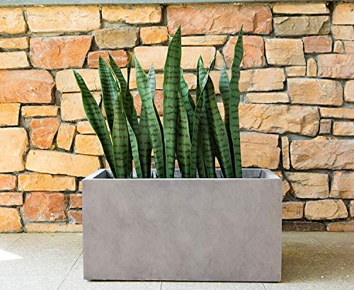 Kante 31.1" L Long Rectangular Concrete Planter, Large Outdoor Indoor Garden Pots with Drainage Hole and Rubber Plug, Weathered Concrete