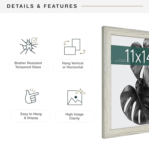 MCS Studio Gallery 11x14 Picture Frame Gray Woodgrain Shatter Resistant Glass, Rectangle Photo Frame for Photos, Posters & Art Prints (1-Pack)