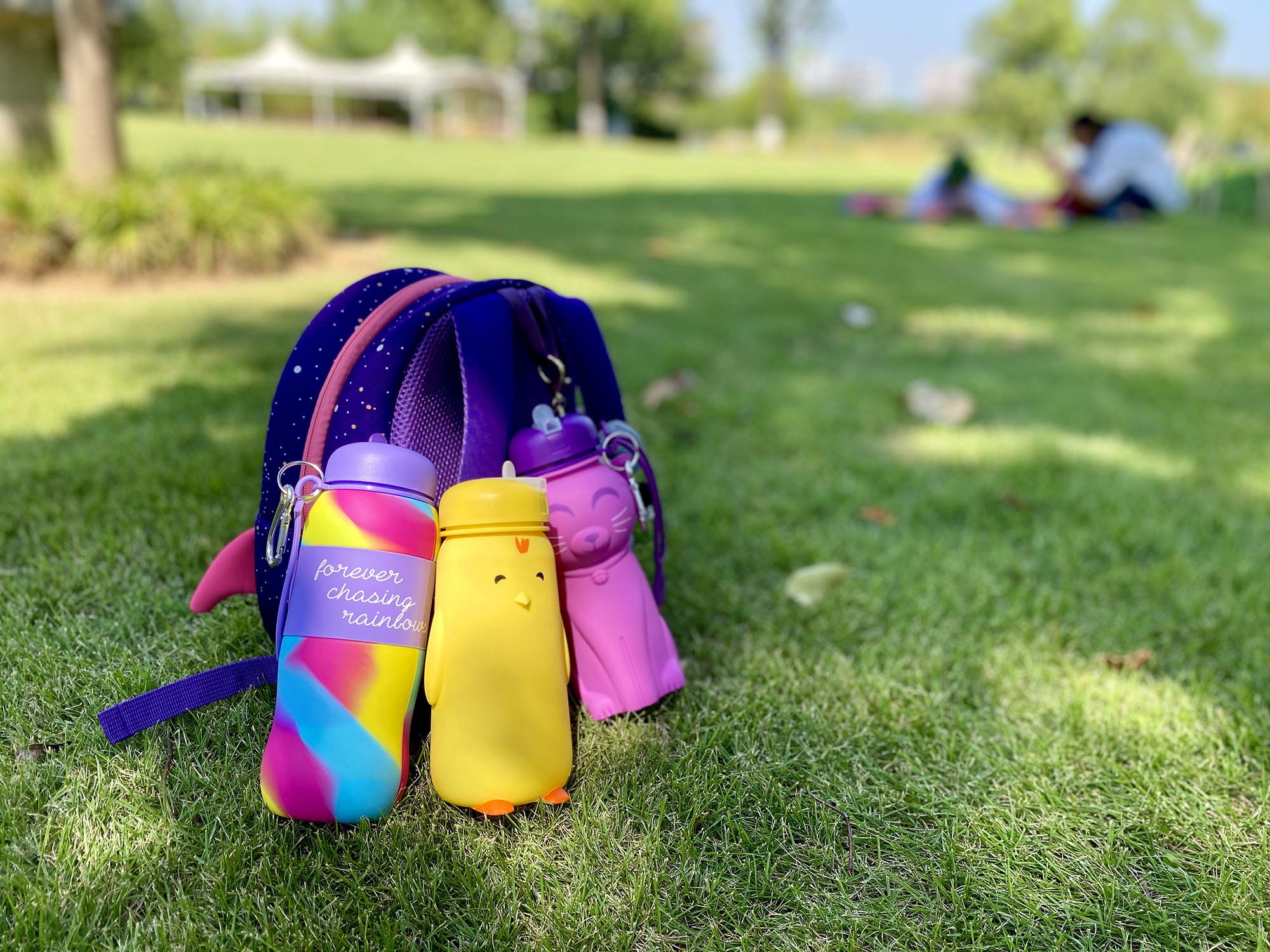 Collapsible Cat Kids Water Bottle BPA Free Portable Leak Proof with Silicone for School Travel Outdoor