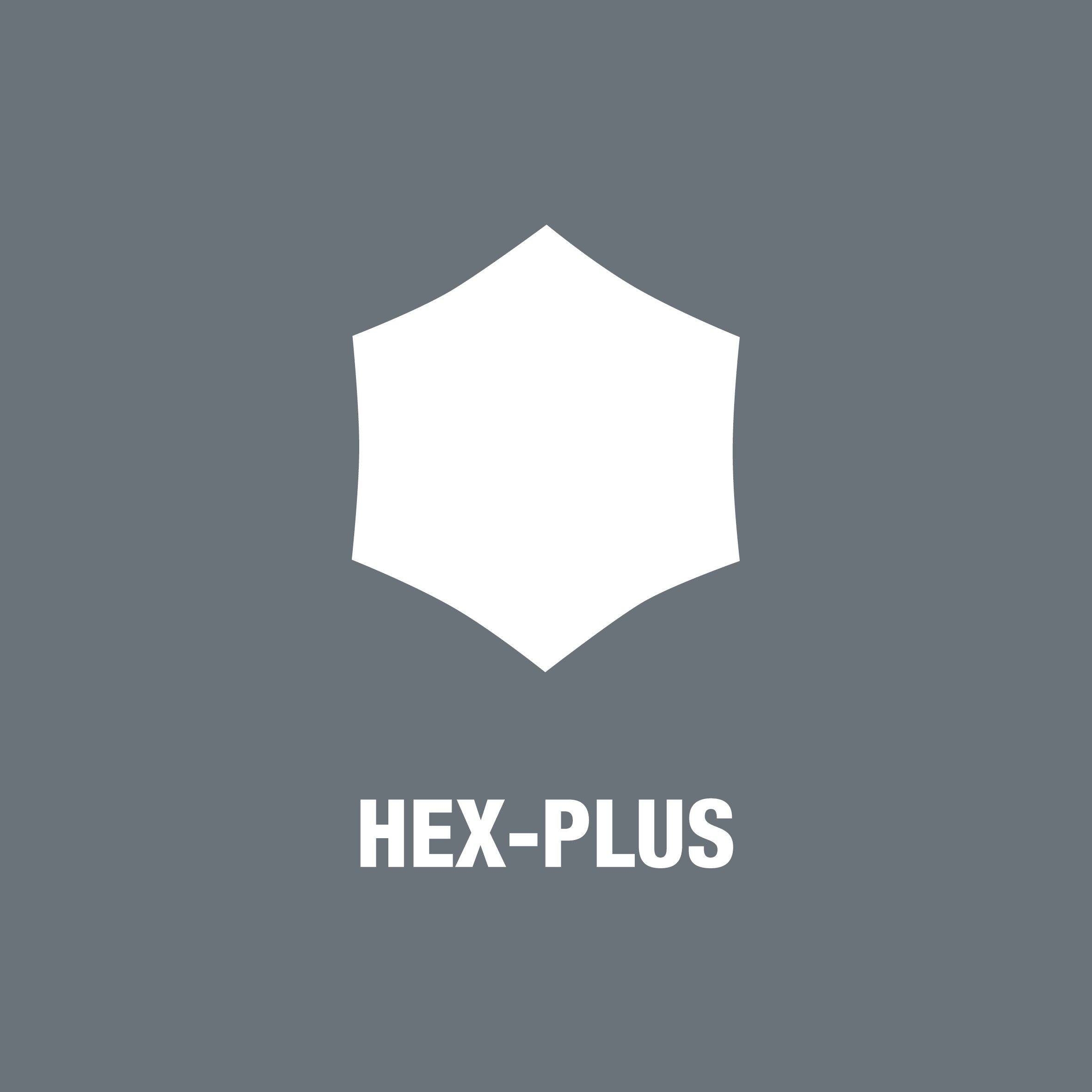 Wera - 5023451001 454/10 HF Set Imperial 1 Screwdriver Set T-Handle Screwdrivers Hex-Plus with Holding Function, Imperial, 10 Pieces