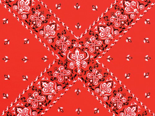 Printed Tissue Paper for Gift Wrapping with Design (Red Bandana), 24 Large Sheets (20x30) - Western Theme Party Supplies