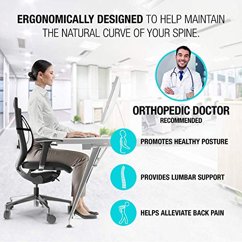 BOD Lumbar Mesh Back Support - Bring Comfort to an Office Chair, Car, and Truck Seat Lower Back Pain Relief Behind Your Desk for All Day Pillow Like Comfort