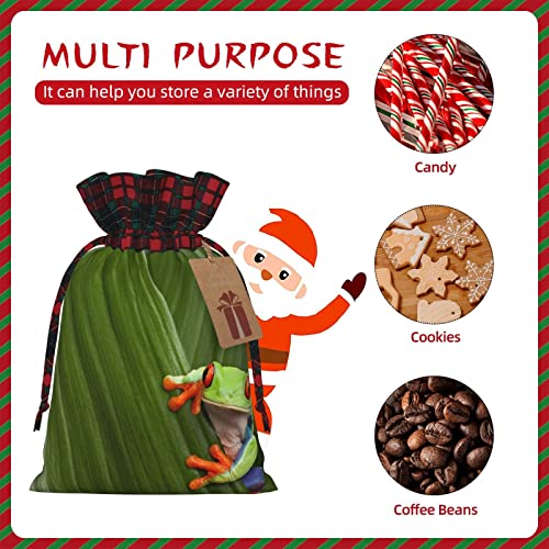 Allgobee Christmas Drawstring Gift Bags Tropical-Funny-Tree-Frog Buffalo Plaid Drawstring Bag Party Favors Bags