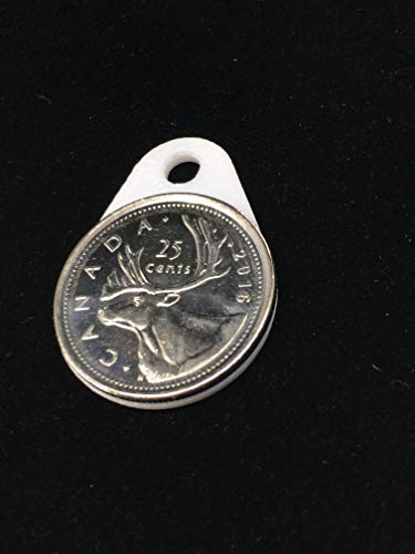 Shopping Cart Quarter Version 2.0 (White Polycarbonate, 1)