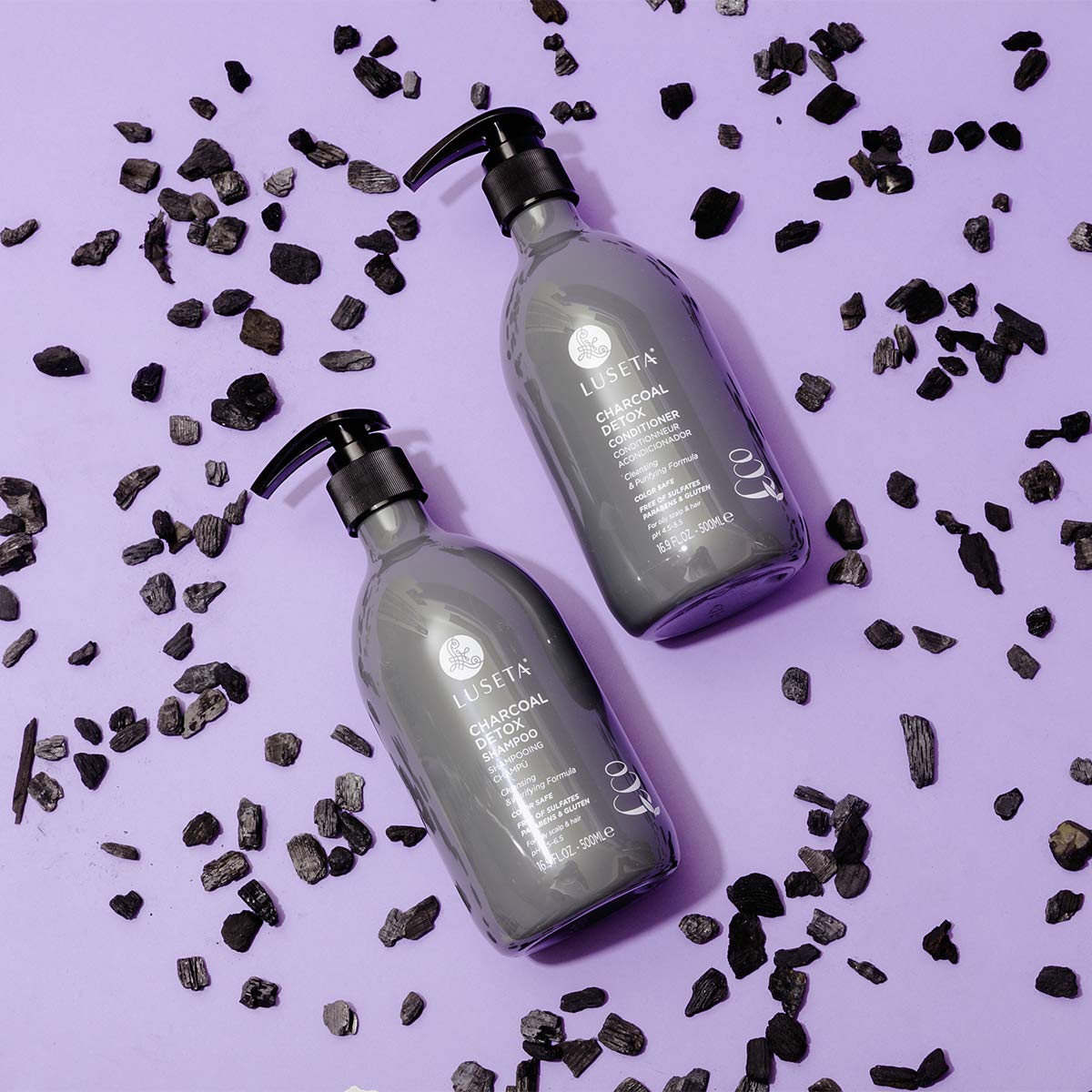 Luseta Charcoal Detox Shampoo for Clarifying, Detoxifies and Volumizing 16.9oz