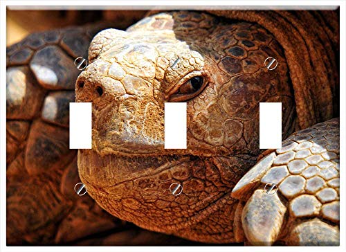 Switch Plate Triple Toggle - Turtle Criss-Crossed Africa Senegal Tortie Carapace