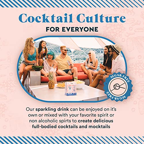 Hella Cocktail Co. Bitters & Soda Classic Dry Aromatic - 12oz Cans, 12 Pack I Aromatic, Botanical and Herbal Non-Alcoholic Drinks, Sugar-Free, Ready-to-Drink Mocktails