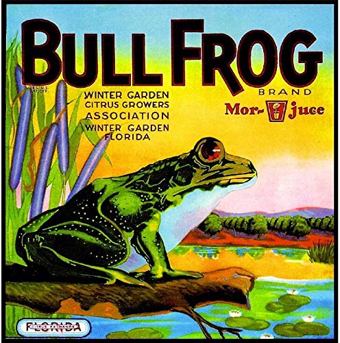 TYmall Metal Sign Wall Plaque 12X12 Inch Winter Garden Florida Bull Frog Orange Citrus Fruit Crate Box Label Metal Sign Wall Art Decor