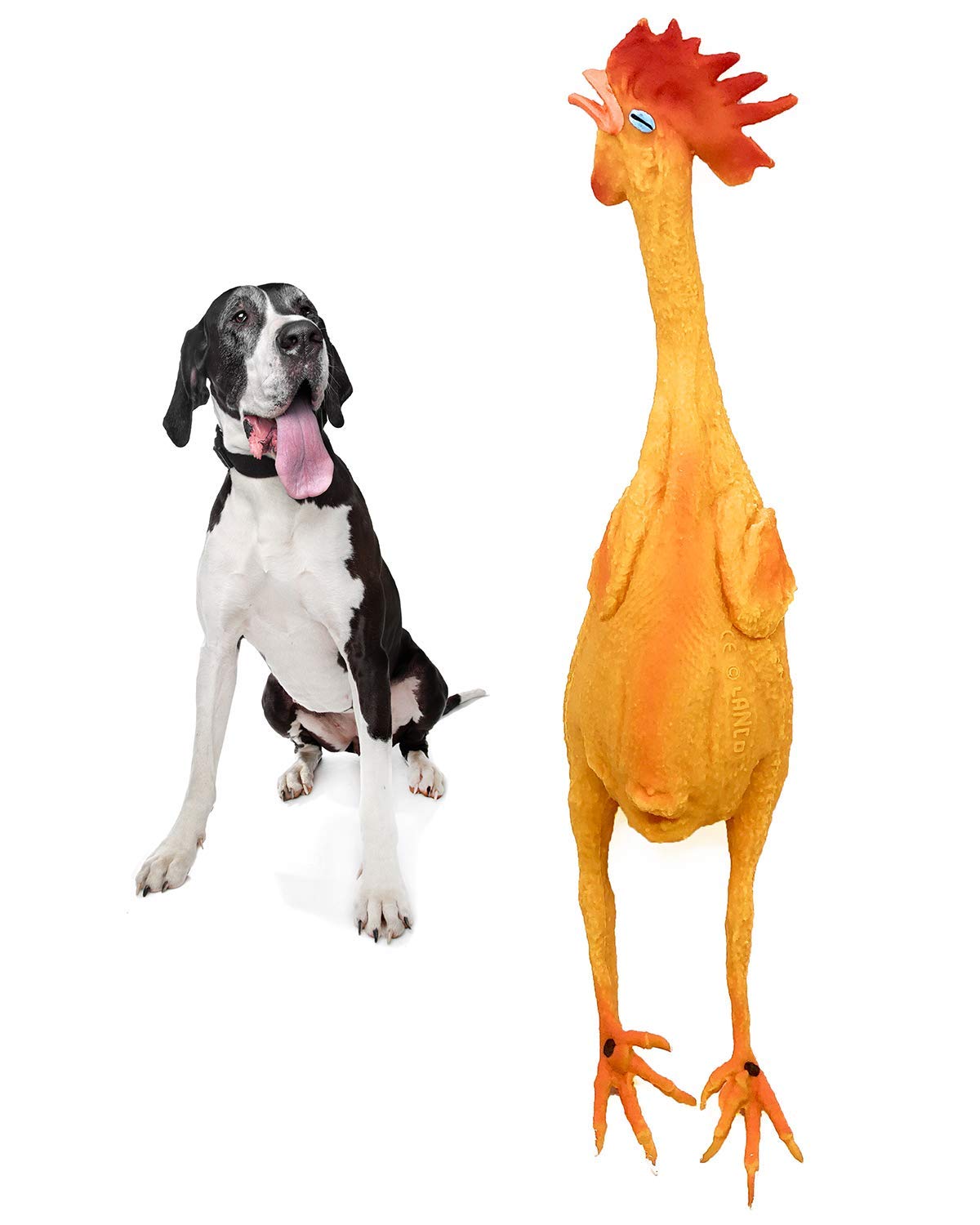 Rubber Chicken Dog Toys - Natural Rubber (Latex) - Lead-Free Chemical-Free - Complies with Same Safety Standards as Baby Toys - Soft Unstuffed Squeaky (Extra-Large)