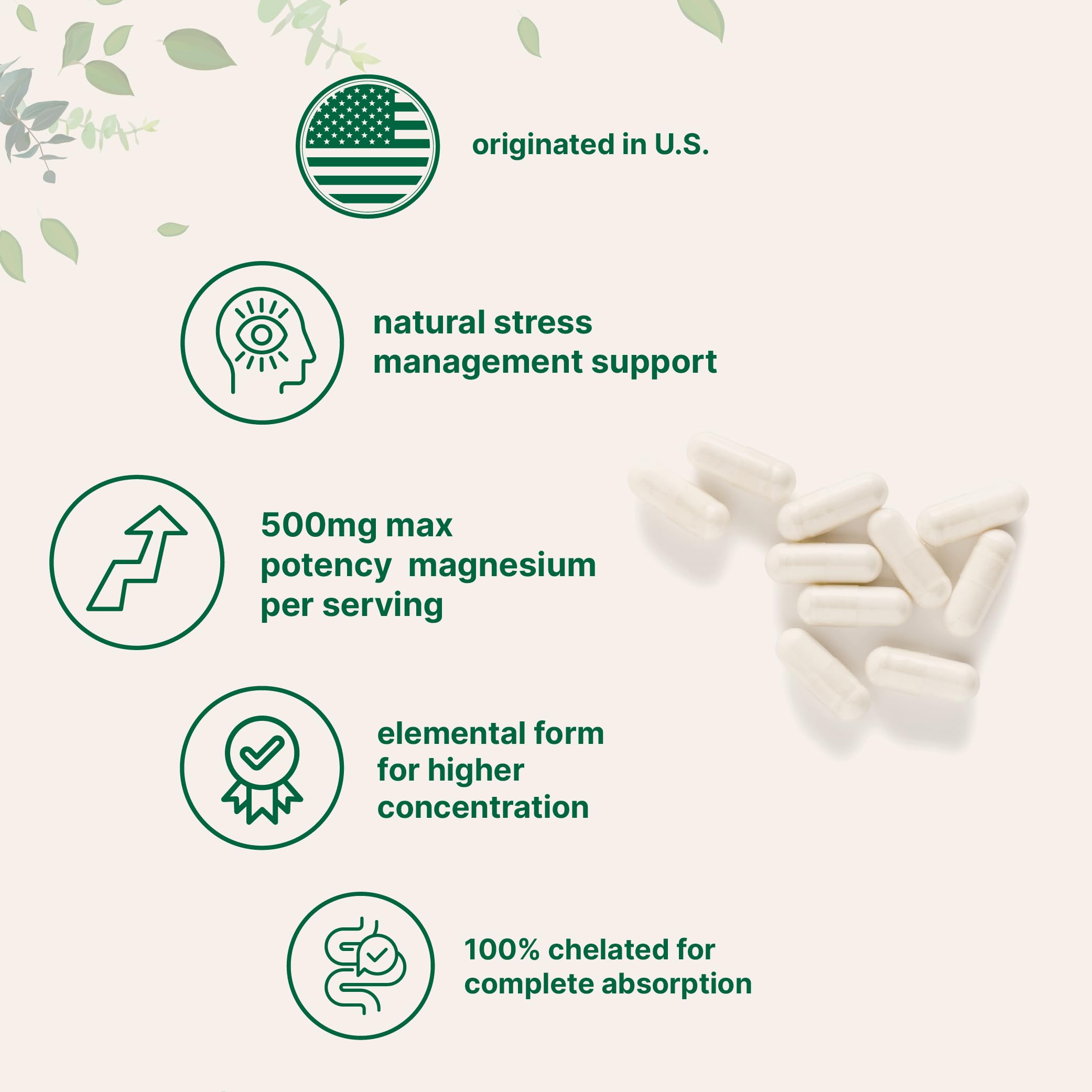 Micro Ingredients Magnesium Glycinate 500mg Per Serving, 240 Capsules | Potent Elemental Form, 100% Chelated, High Absorption | Healthy Muscle, Bones, & Mood Support Supplement | Non-GMO