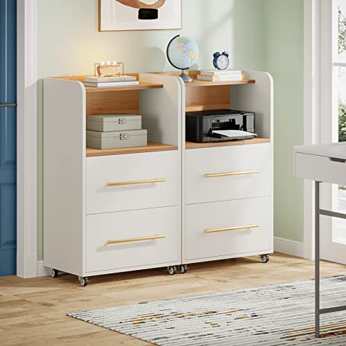 Tribesigns Lateral File Cabinet with 2 Drawers, Modern White Filing Cabinet Wood Rolling Filing Cabinets for Letter/Letter/A4 Size Files, Mobile Printer Stand with Open Shelves for Home Office (43"H)