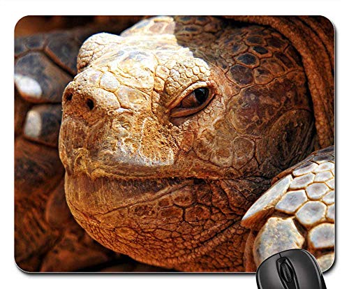 Mouse Pad - Turtle Criss-Crossed Africa Senegal Tortie Carapace