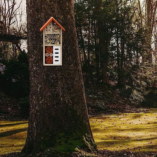 FUNPENY Wooden Insect House, Insect Hotel with Brush for Butterfly, Bees and Ladybugs