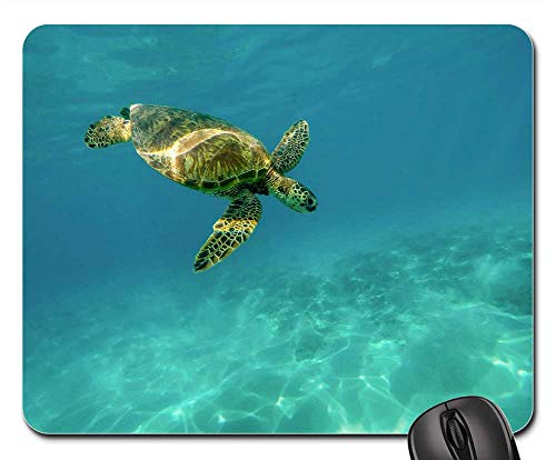Mouse Pad - Carapace Marine Turtle Ocean Sea Sea Turtle