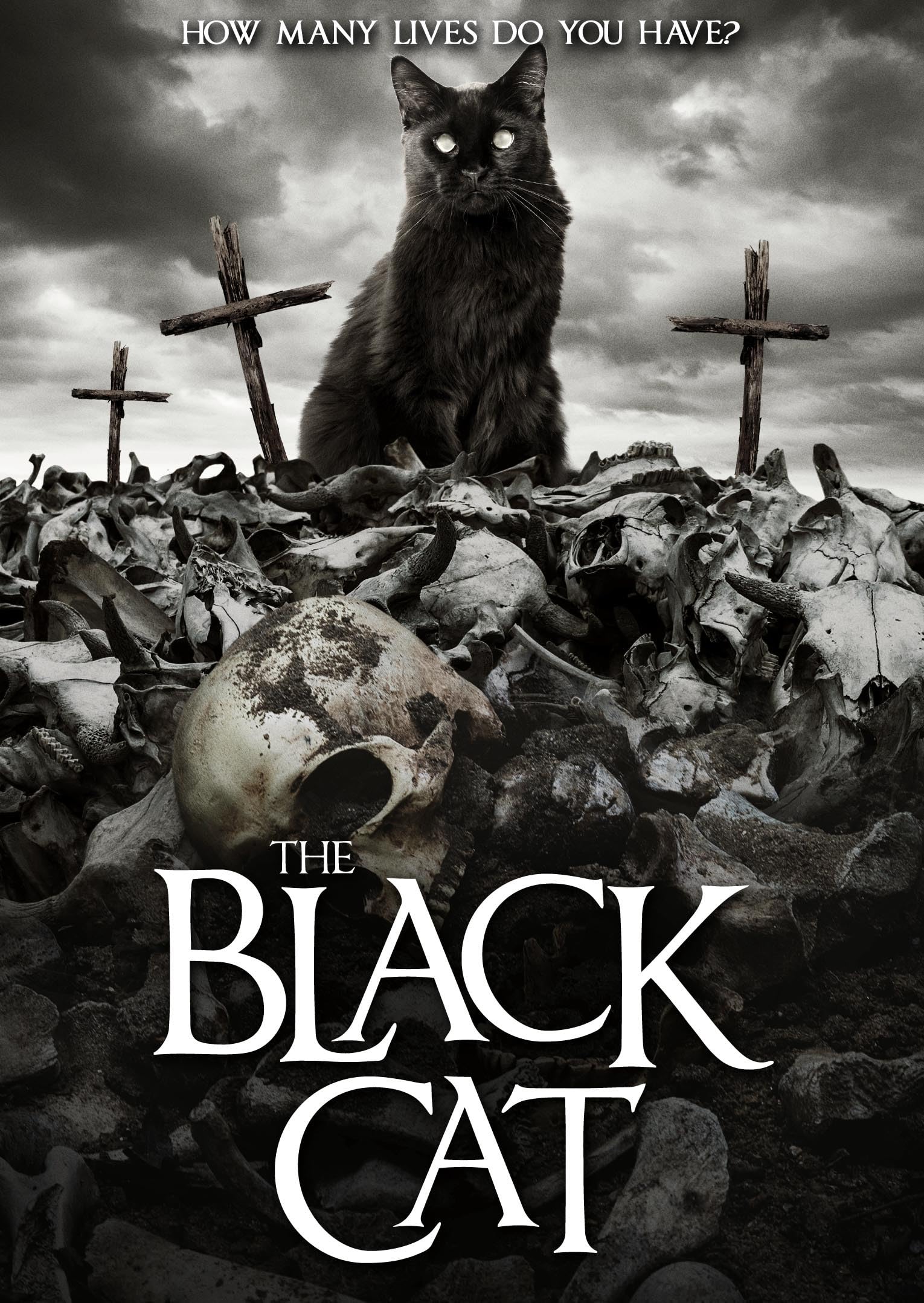 The Black Cat