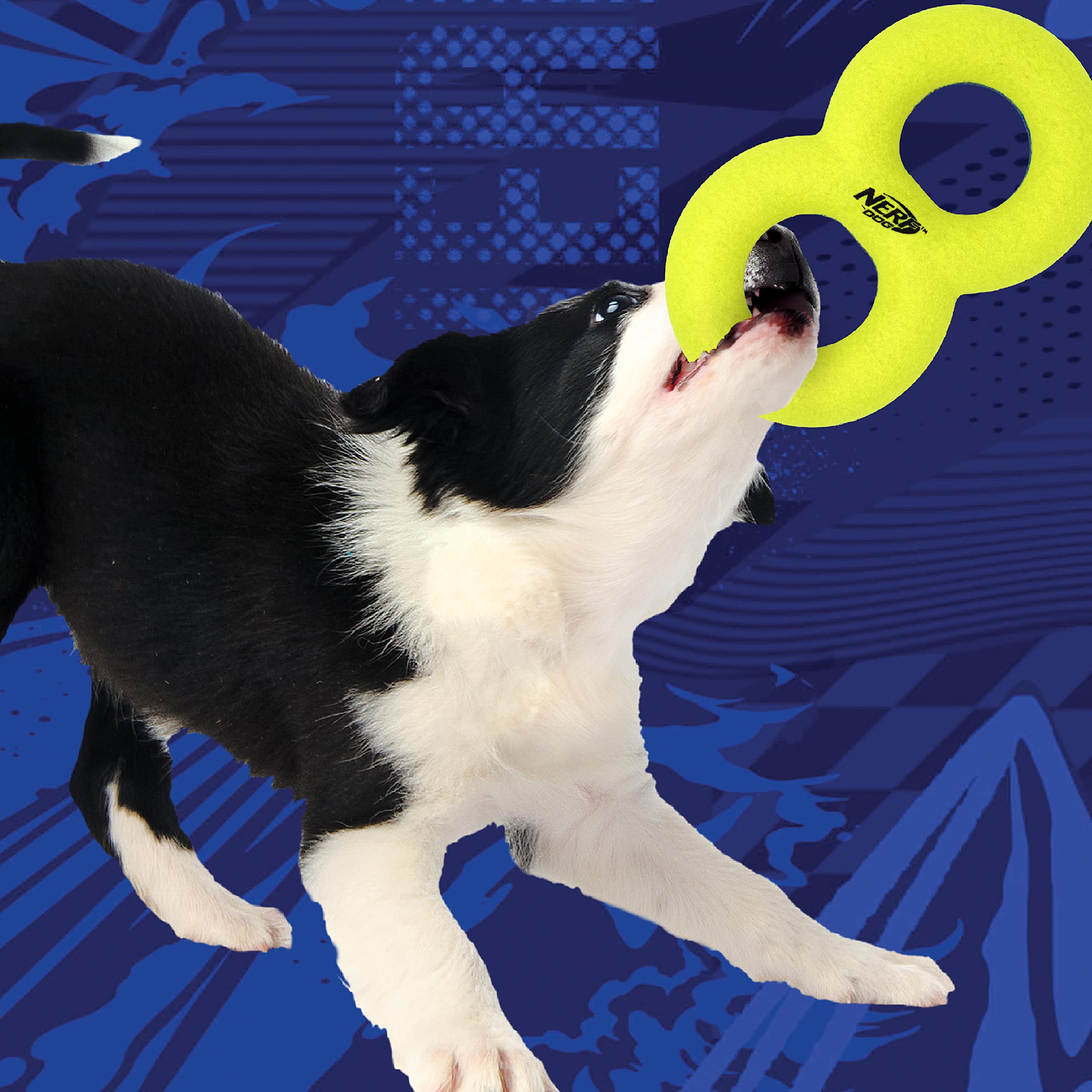 Nerf Dog Max Court Infinity Tug Dog Toy with Interactive Squeaker, Lightweight, Durable and Water Resistant, 8.7 Inches, For Medium/Large Breeds, Single Unit, Green/Blue