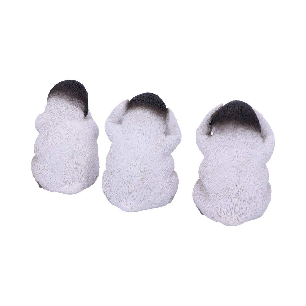 Nemesis Now U4921R0 See No, Hear No, Speak No Evil Emperor Penguin Chick Figurines, Grey, One Size