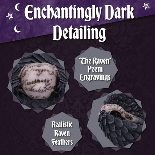 Nemesis Now Edgar Allan Poe's Nevermore Raven Skull Trinket Holder, Gothic Jewelry Dish, Hand-Painted Resin, 17cm
