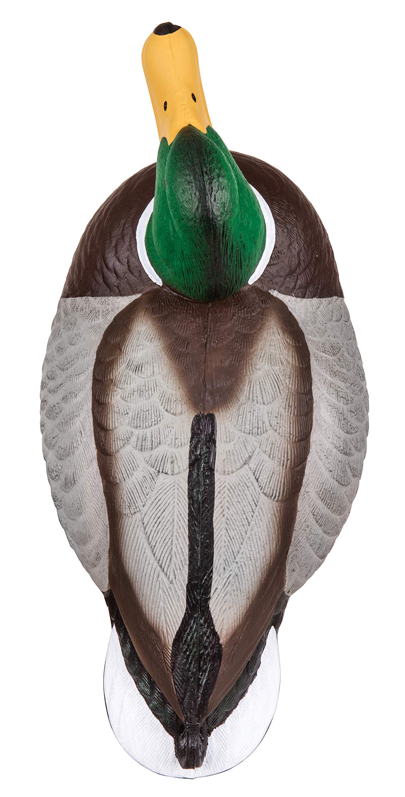 Flambeau Outdoors 1812DPK Masters Series Mallard Decoys, Classic Floaters - 12-Pack