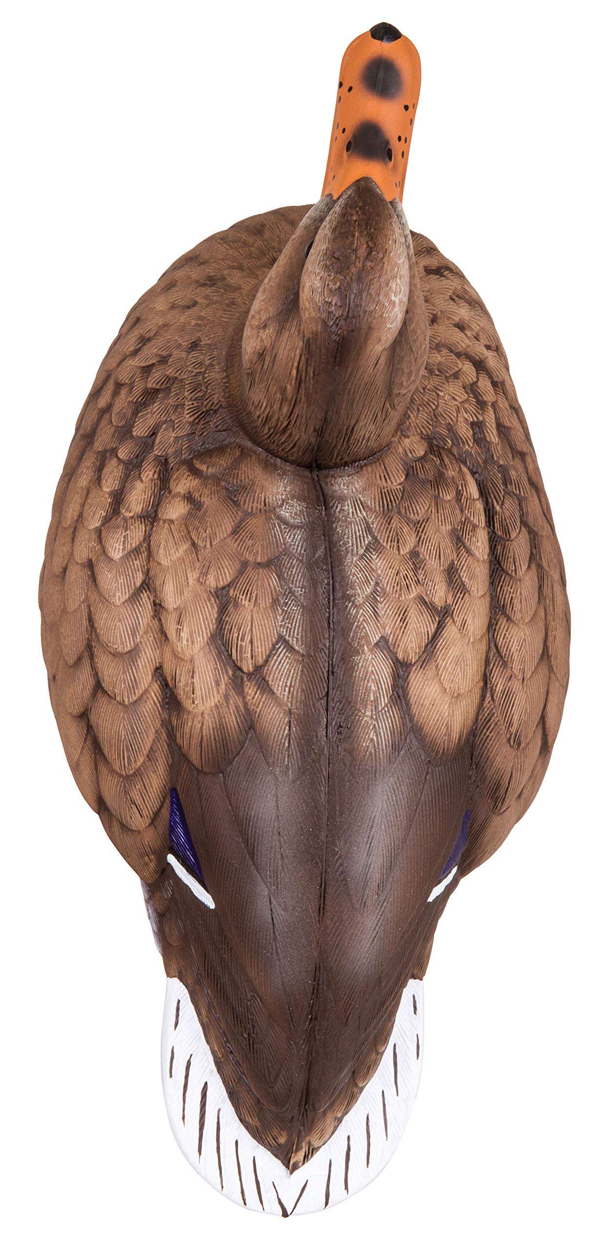 Flambeau Outdoors 1812DPK Masters Series Mallard Decoys, Classic Floaters - 12-Pack