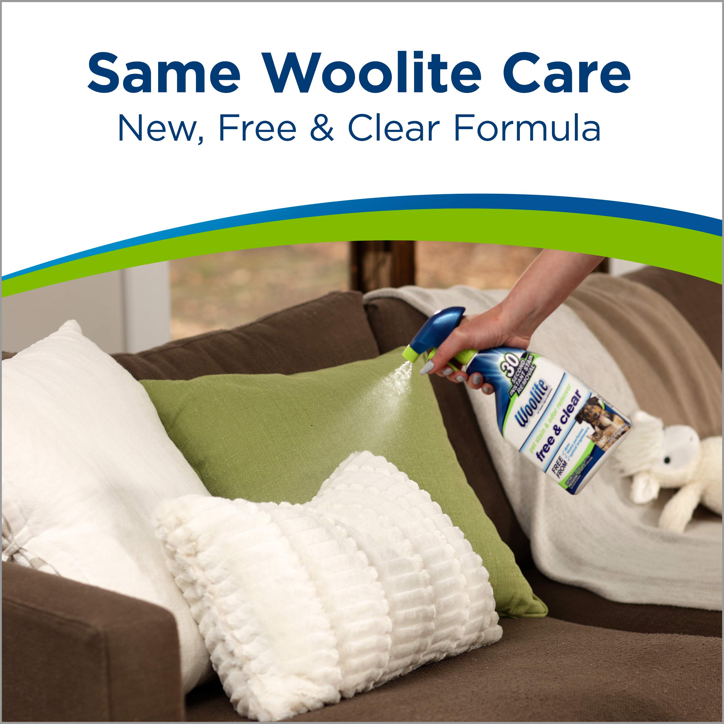 Bissell Woolite Free & Clear, Pet Stain & Odor Remover, 22oz (Pack of 2), 2719