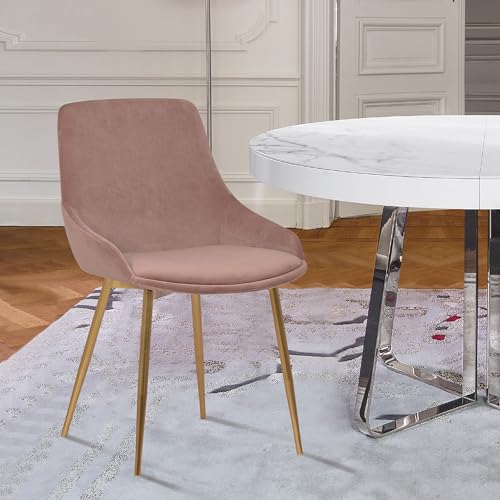 Armen Living Heidi Contemporary Fabric Dining Room Accent Chair, 18.5" Height, Velvet, Blush