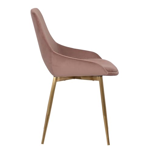 Armen Living Heidi Contemporary Fabric Dining Room Accent Chair, 18.5" Height, Velvet, Blush