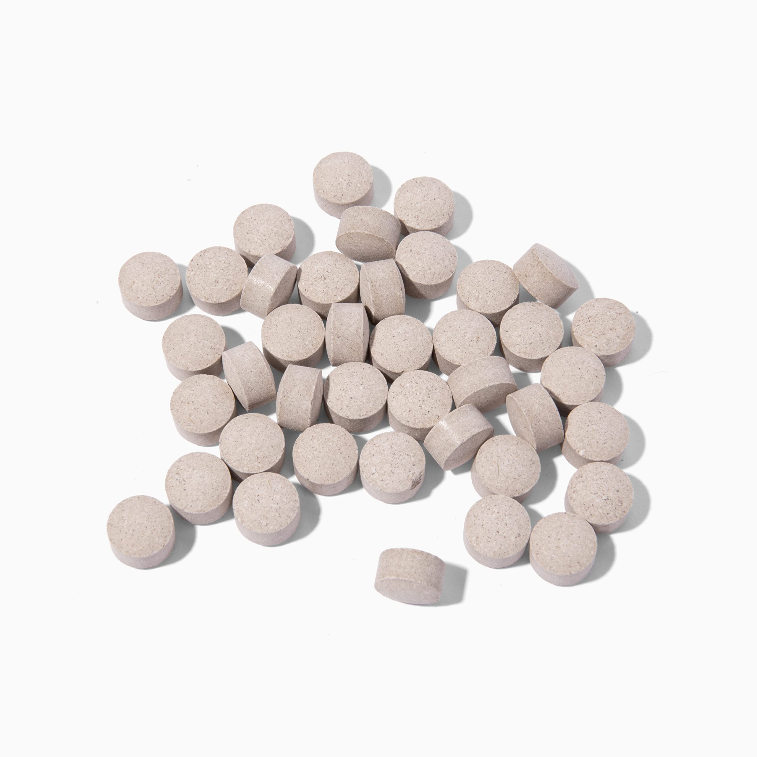 Hildegard's Original Bitters Tablets: Herbal Remedy for Fasting Support, Kidney Liver Cleanse Detox & Repair, Heartburn, & Digestion Supplements
