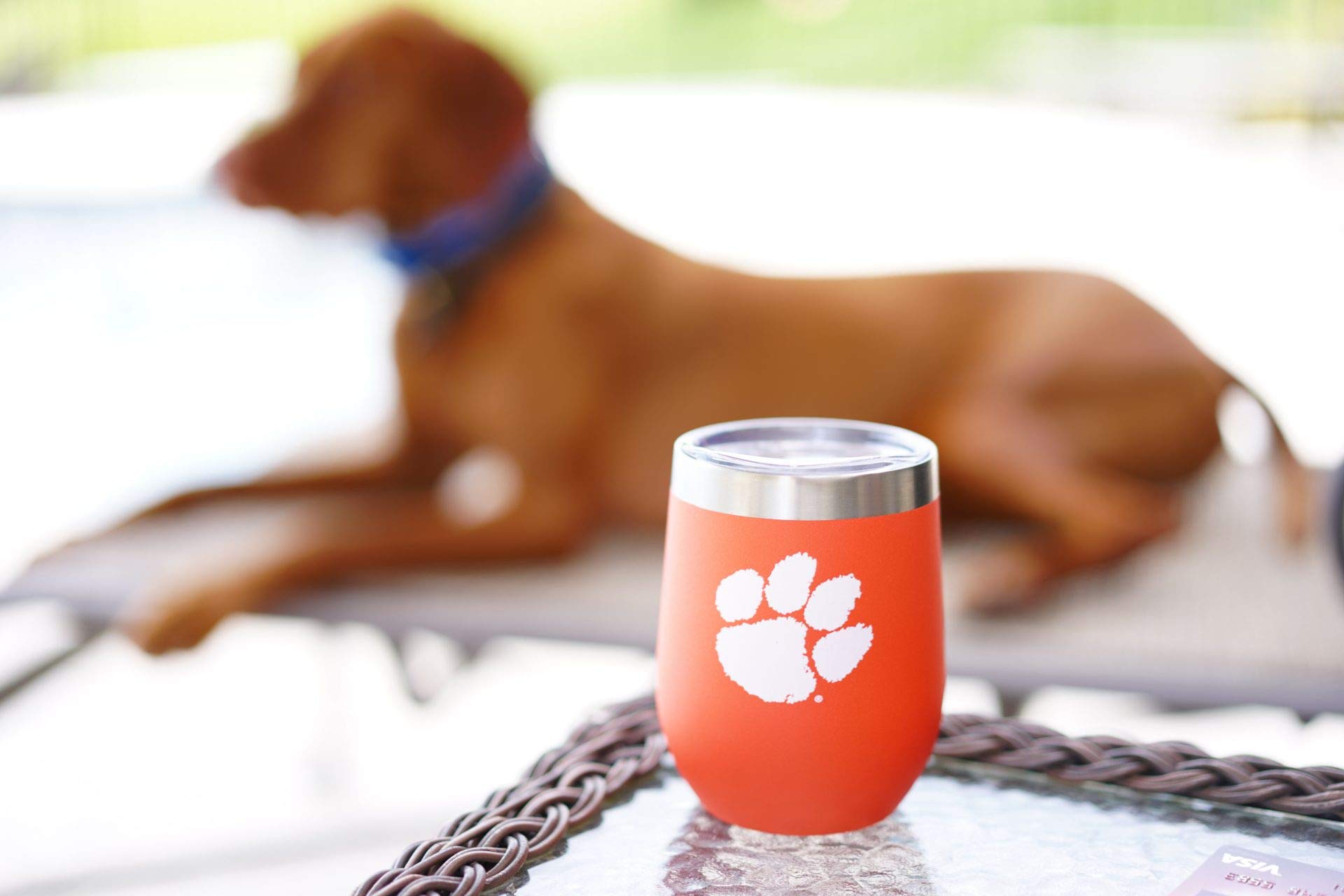 Gametime Sidekicks Clemson Tigers Stainless Steel Wine Tumbler - Insulated Stemless Wine Tumbler - Copper-Lined, Vacuum Double Wall Maximum Temperature Efficiency (Orange)