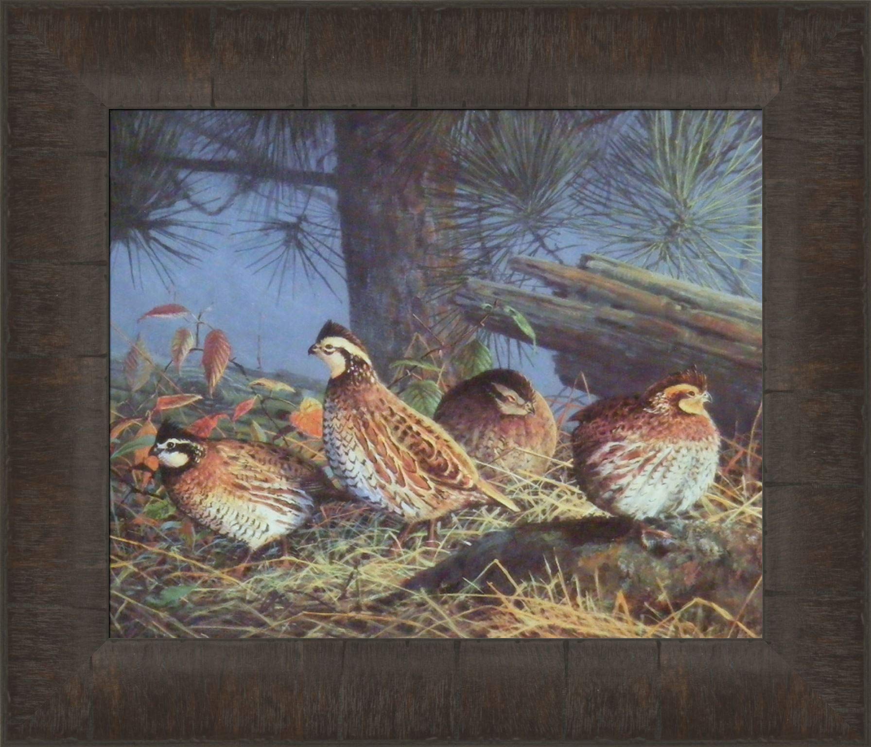 Home Cabin Décor Flat Creek Covey by Scott Zoellick 12x14 Quail Birds Pine Tree Wildlife Framed Art Print Picture