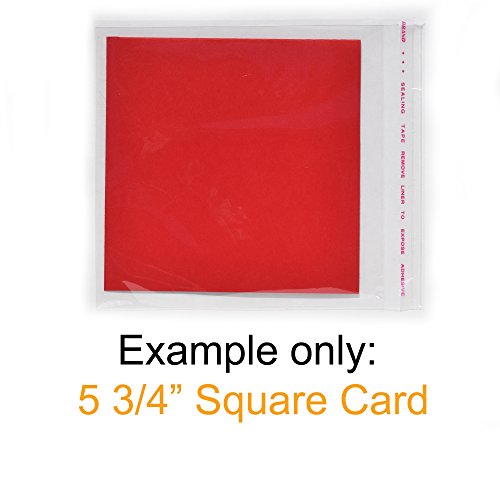irtree 100 Square 6.5" Crystal Clear Flat Resealable Envelopes - 6 1/2" x 6 1/2" or 6.5 x 6.5 Cello Style Poly Bags with Lip Tape - Fits 6" to 6 1/4β Square Card with or Without a Paper Envelope