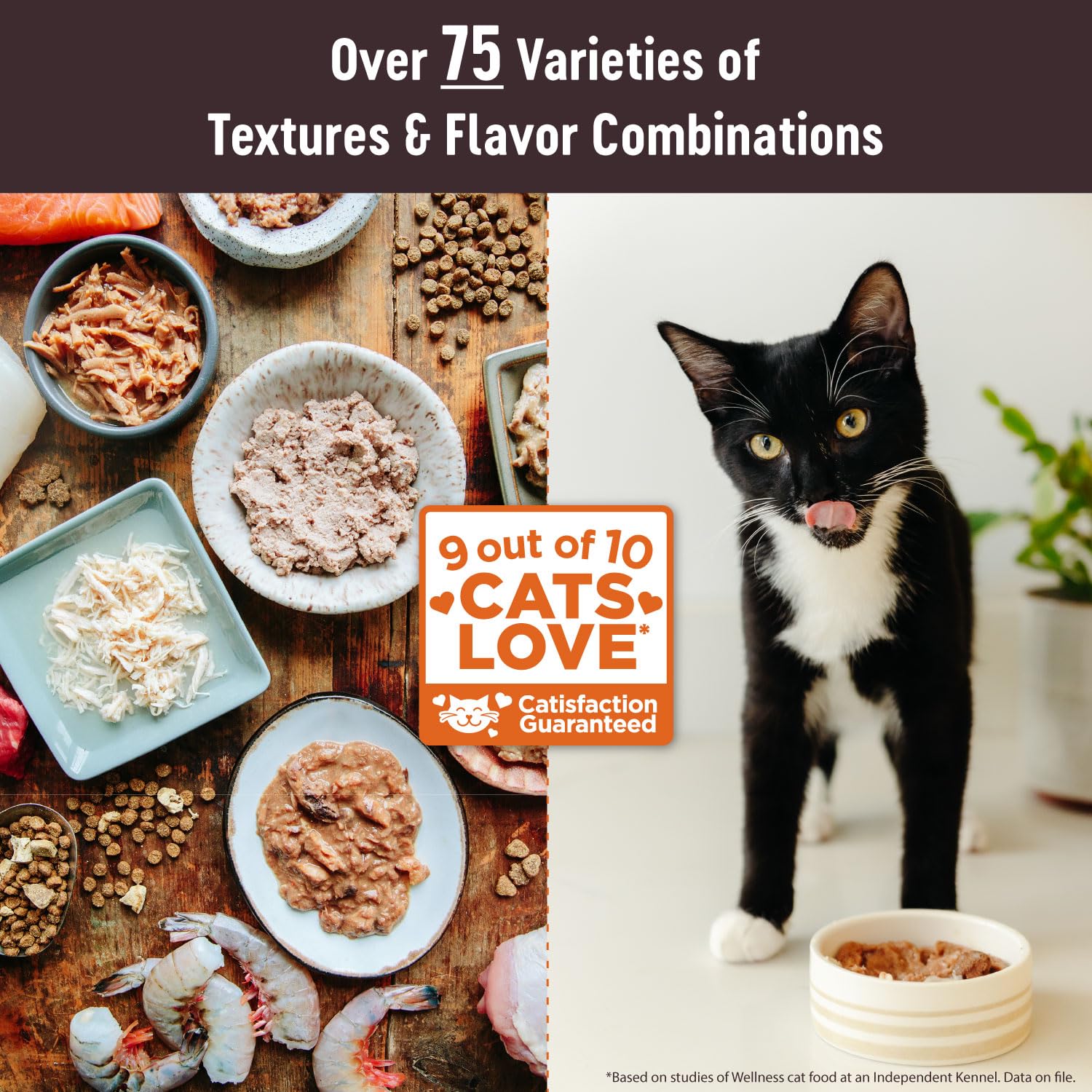 Wellness CORE Tiny Tasters Pate Adult Wet Cat Food, Natural, Protein-Rich, Grain Free, 1.75-Ounce Pouch, 12 Pack, (Duck)