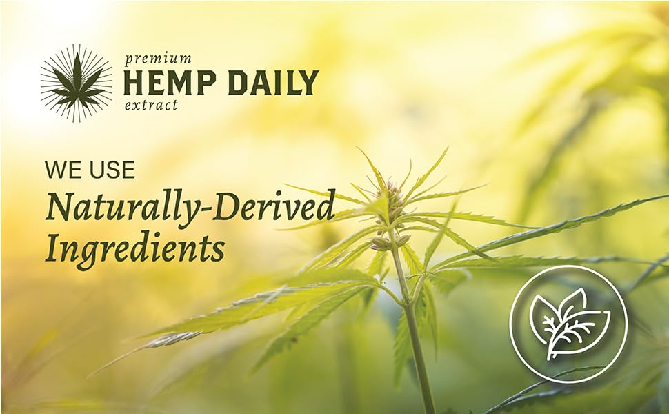Hemp Daily Active Spray | Hemp Spray with Essential Oils | Vegan, Organic Ingredients | 2 Fluid Ounces, 3 Pack