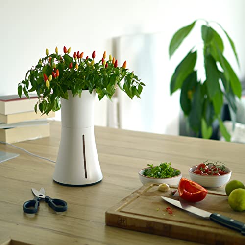 Botanium Hydroponic and Automatic Indoor Gardening Pot, White