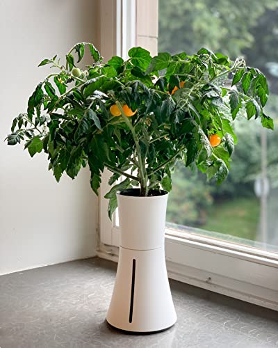 Botanium Hydroponic and Automatic Indoor Gardening Pot, White