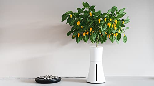 Botanium Hydroponic and Automatic Indoor Gardening Pot, White