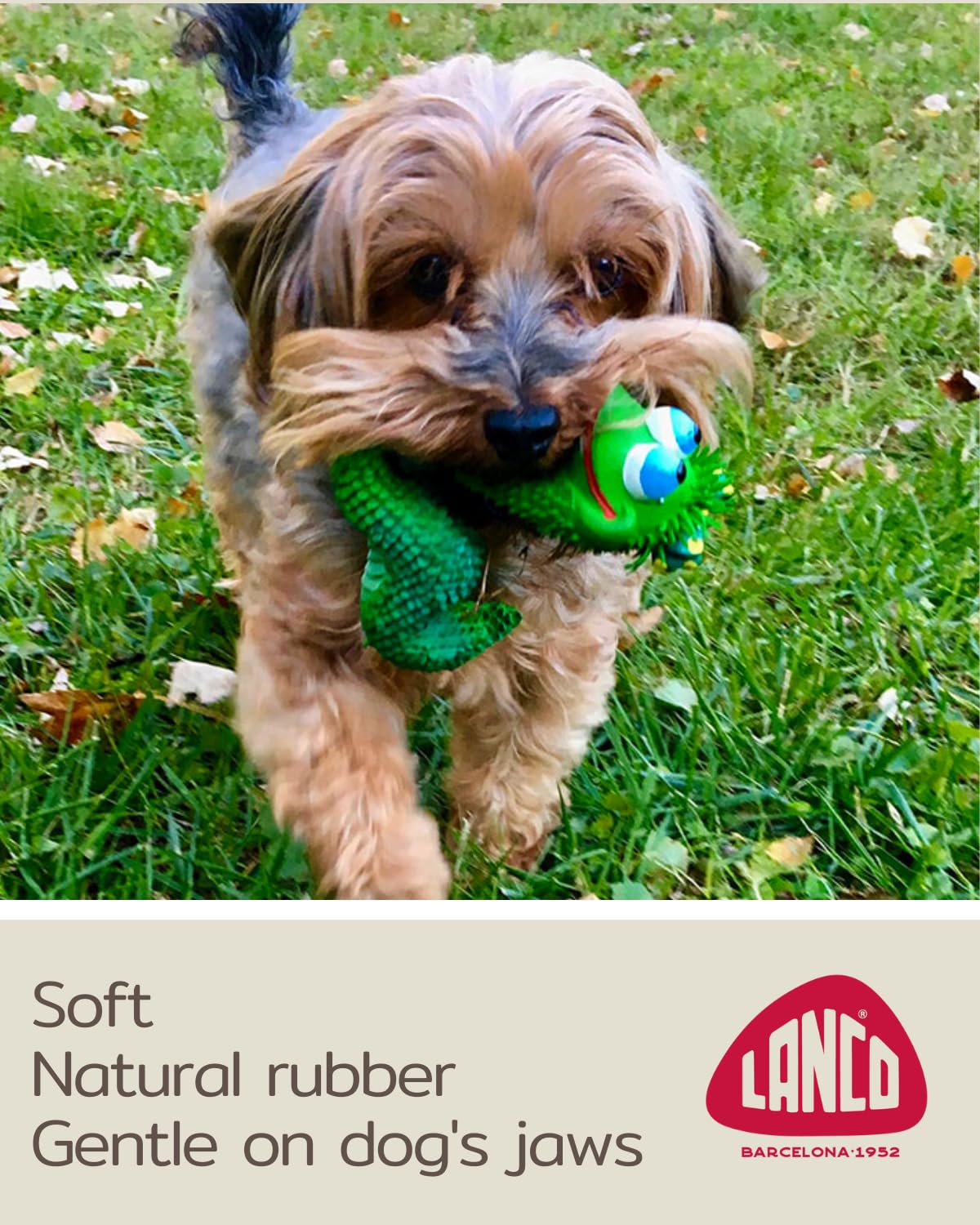 Smiley Snake Sensory Squeaky Rubber Dog Toy for Small & Medium Dogs (Green) Natural Rubber (Latex) Lead Chemical-Free Soft Unstuffed