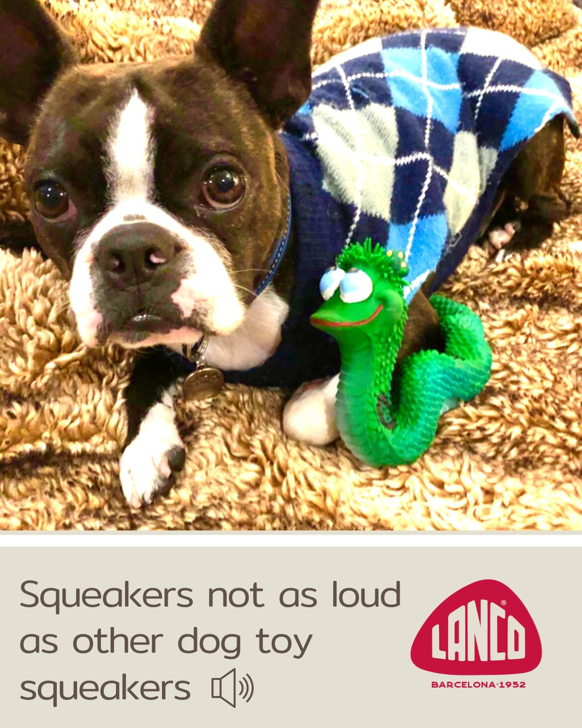 Smiley Snake Sensory Squeaky Rubber Dog Toy for Small & Medium Dogs (Green) Natural Rubber (Latex) Lead Chemical-Free Soft Unstuffed
