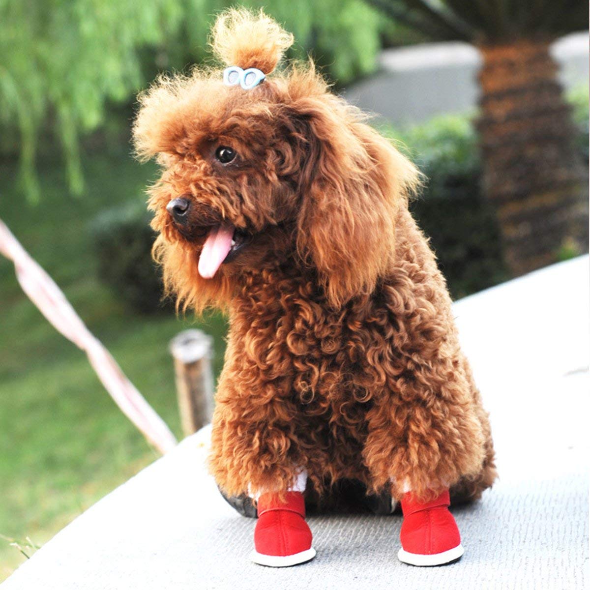 URBEST® Dog Shoes, Detachable Closure Puppy Dog Shoes, 2020 New Booties Boots for Small Dogs 4Pcs (3#, Red)