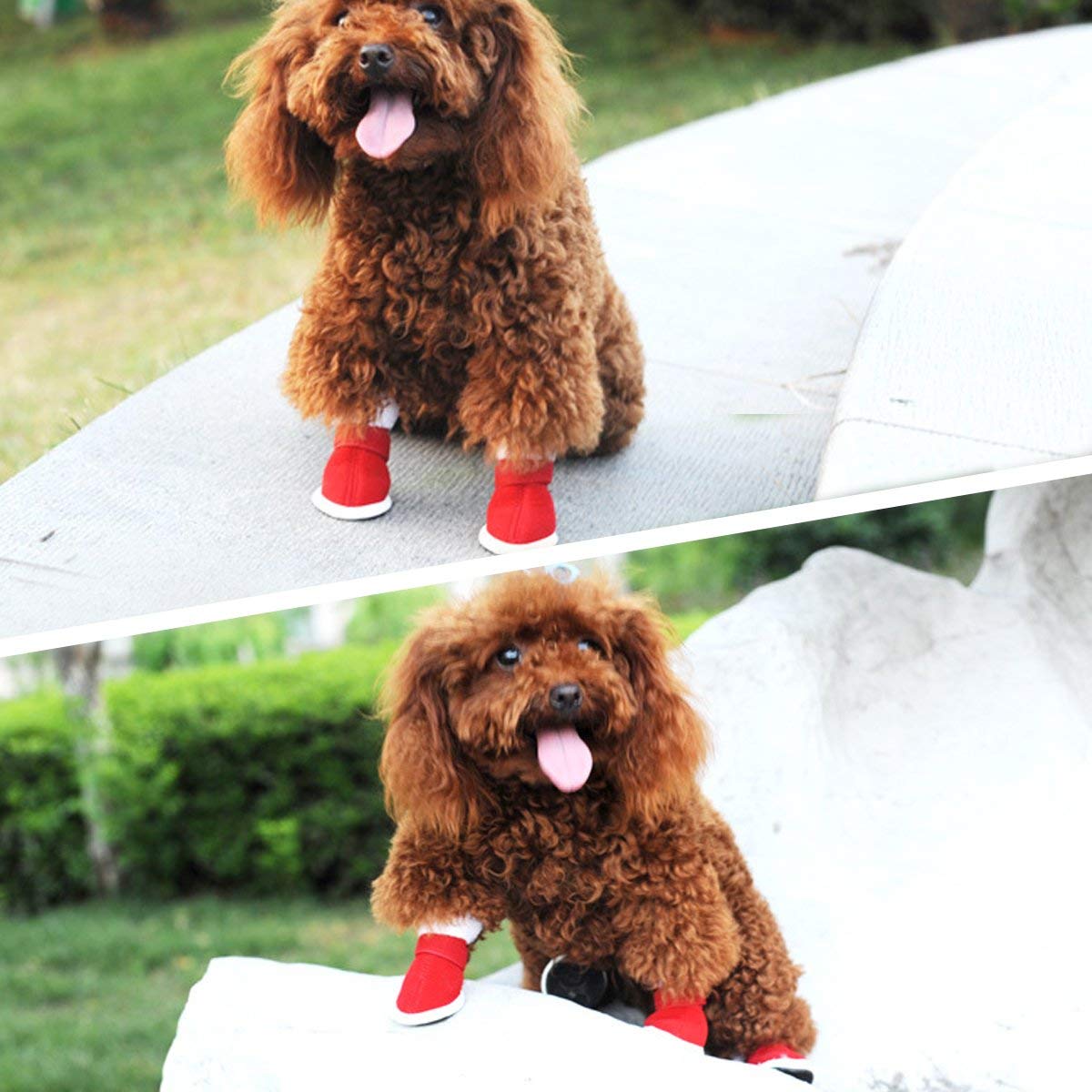 URBEST® Dog Shoes, Detachable Closure Puppy Dog Shoes, 2020 New Booties Boots for Small Dogs 4Pcs (3#, Red)