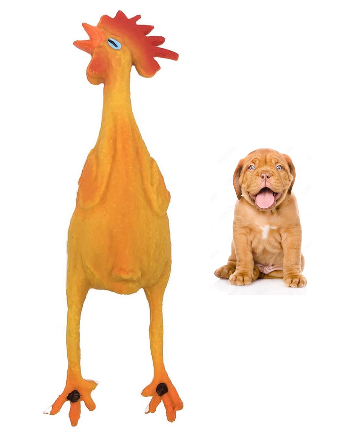 Rubber Chicken Dog Toys - Natural Rubber (Latex) - Small Breeds Puppies Lead-Free Chemical-Free - Handpainted - Soft Unstuffed Squeaky (Small)