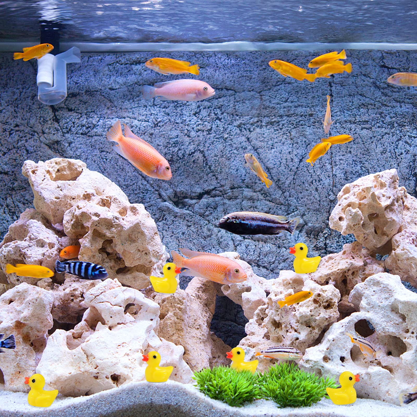 100Pcs Mini Resin Ducks, Tiny Ducks Figurines Bulk for Miniature Dollhouse Decor Accessories Garden Aquarium Potted DIY Ornament Party Toys