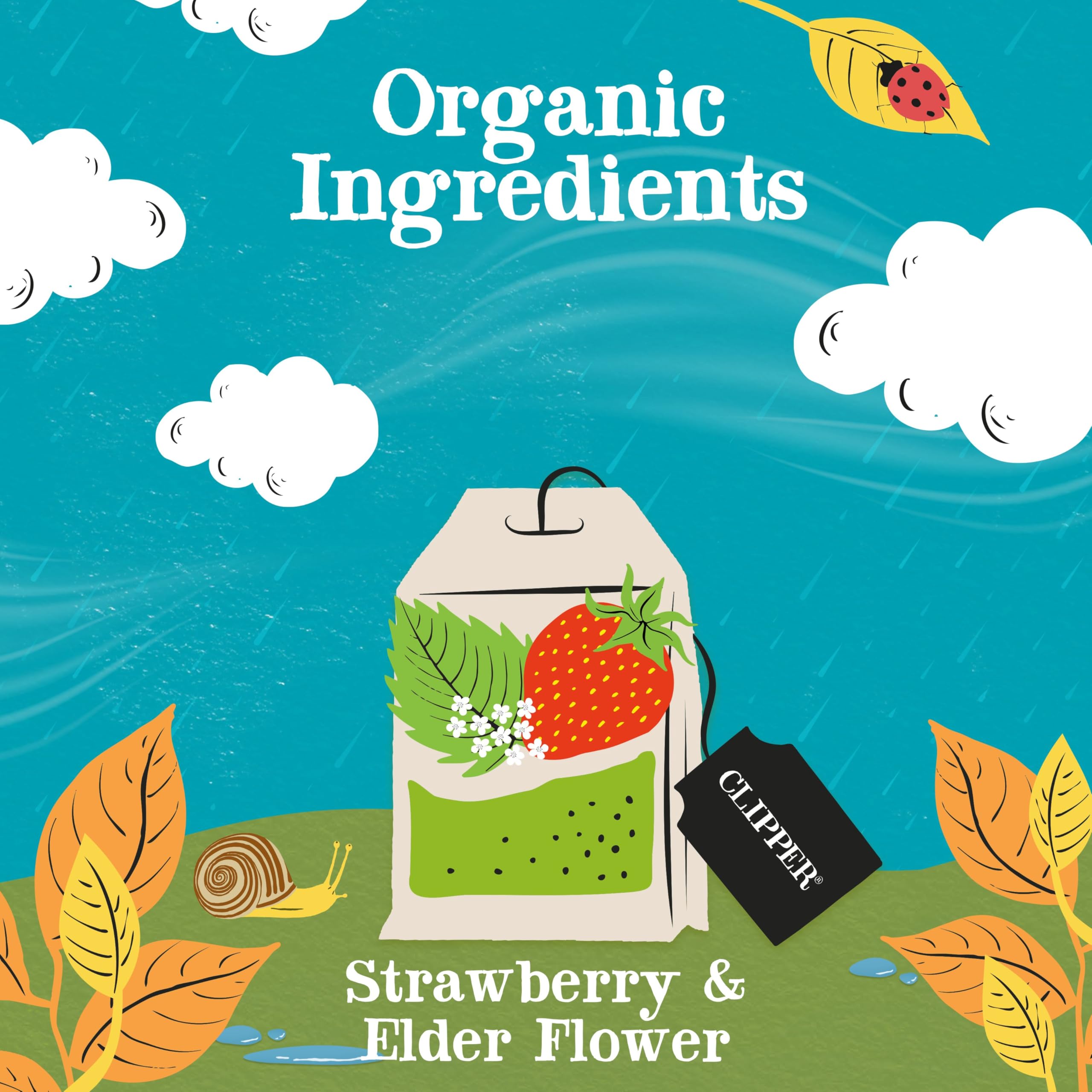 Clipper Tea Strawberry & Elderflower Herbal Tea – Caffeine Free, USDA Organic, Great Hot or Iced – Refreshingly Fruity, Natural, Fair & Delicious – 20 Tea Bags