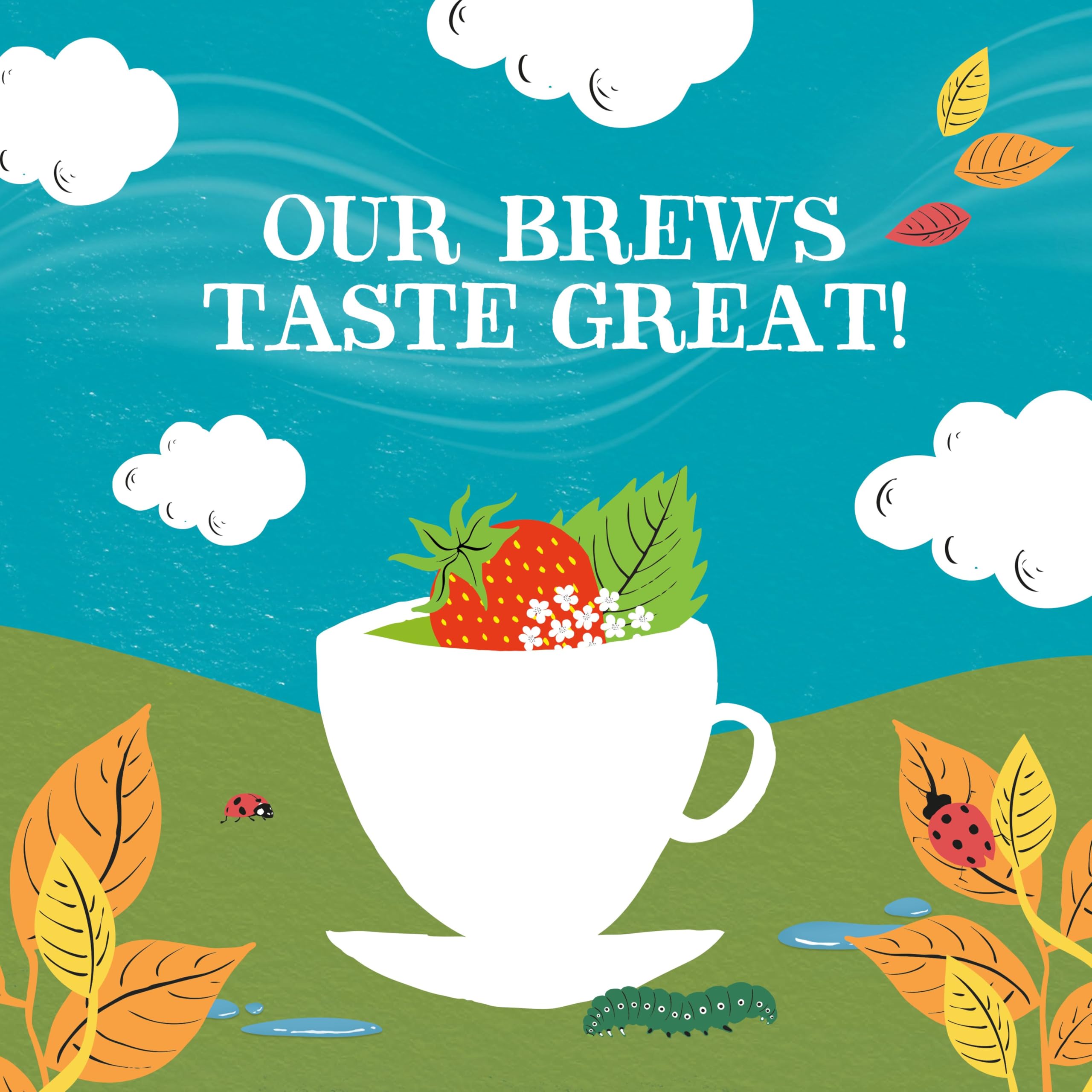 Clipper Tea Strawberry & Elderflower Herbal Tea – Caffeine Free, USDA Organic, Great Hot or Iced – Refreshingly Fruity, Natural, Fair & Delicious – 20 Tea Bags