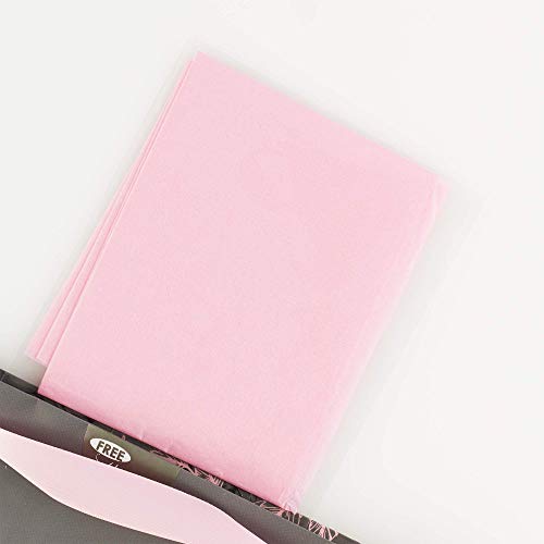 Christian Art Gifts Landscape Gift Bag and Tissue Paper Set - Strength and Dignity - Proverbs 31:25 Inspirational Bible Verse, Pink/Grey Floral, Large