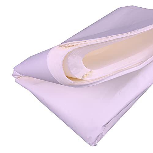 Carnival Papers Wet Strength White Tissue Paper 60 Sheets Alternative to Deli Paper for Model Making, Geli Printing, Mixed Media Crafts etc Resistant to Tearing When Wet
