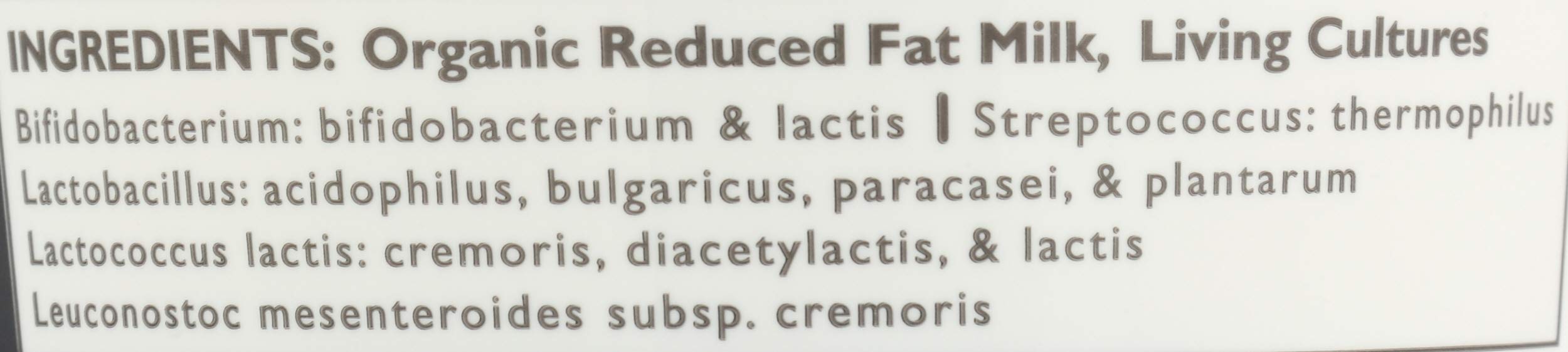PAVELS YOGURT Organic Plain Low Fat Russian Yogurt, 24 OZ