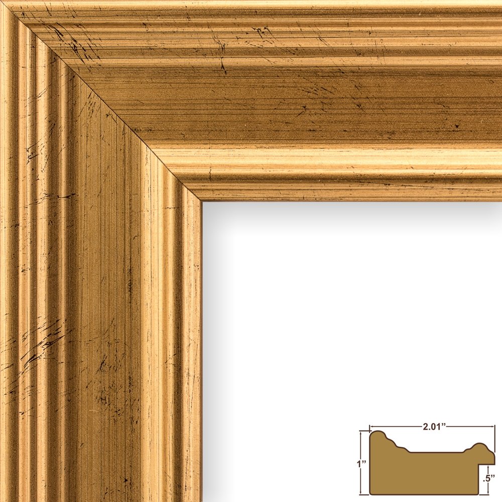 Craig Frames Revival, 20 x 24 Inch Distressed Gold Picture Frame Matted to Display a 16 x 20 Inch Photo
